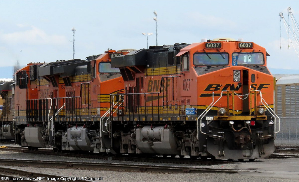 BNSF 6037 - BNSF 4003 - BNSF 83XX